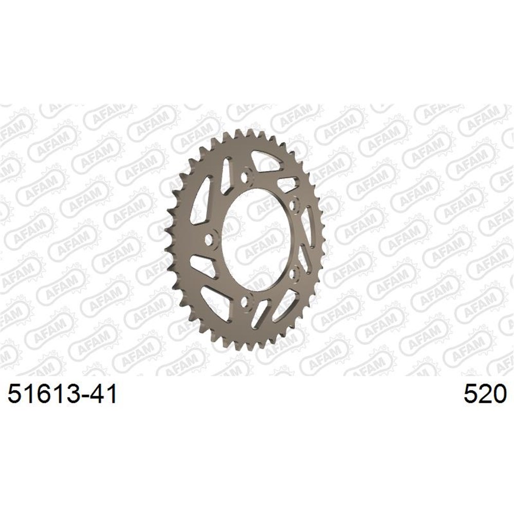 AFAM A41T 520 CONV 749/999 ALLOY # - Road - Sprockets - Cassons - Cassons